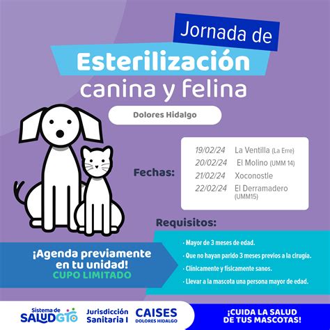 Ssg Anuncia Jornada Masiva De 500 Esterilizaciones De Perros Y Gatos En La Capital Y Municipios