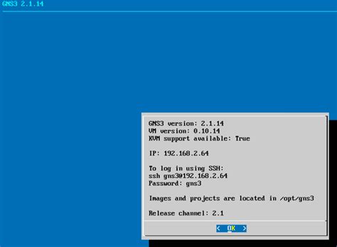 Unable To Modify Etcnetworkinterfaces In Order For The Gns3 Qemu Vm Reach The Internet