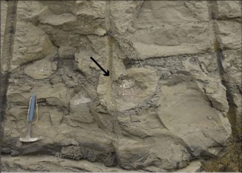 Fine Tuff To Medium Lapilli Tuff With Block Sag Arrow At Cerro