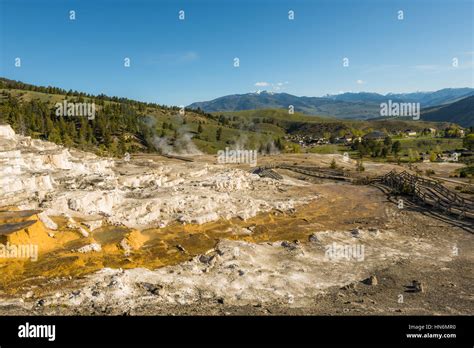Mammoth Hot Springs Pools In Yellowstone National Park With Hiking