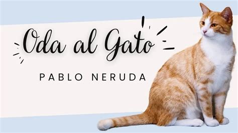 Oda Al Gato Pablo Neruda Poesia Audiolibro Poesía