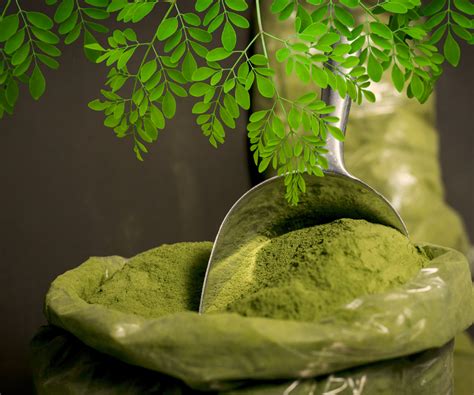 Bột Chùm Ngây Có Canxi Không Có Giúp Tăng Chiều Cao Thật Không