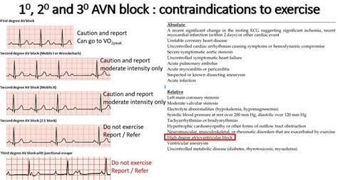 Fittest Atrio Ventricular Nodal Avn Blocks For Exercise