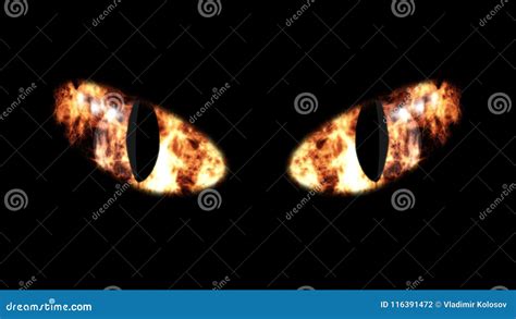 Close Up Of Scary Black Cat Eyes Stock Illustration Illustration Of