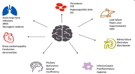 Main Types Of Peripheral Organ Dysfunction After Stroke Download
