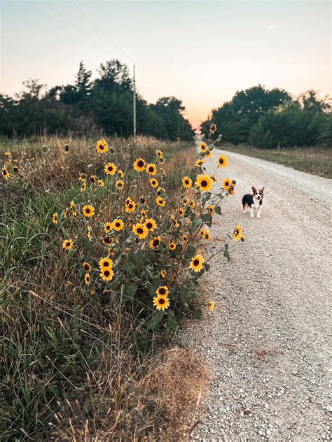 Katherine Umbarger Updated Her Cover Katherine Umbarger