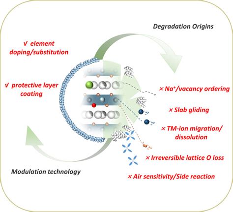 Carbon Neutralization Wiley Online Library