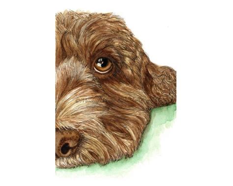 Cockapoo Print From My Watercolour Painting Wall Art Picture T For