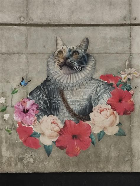 Gatos De Irrazaval R Santiago