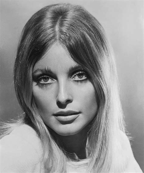 Sharon Tate Manson Murders Crime Museum