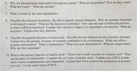 Solved 6 Why Are Phospholipids Important To Biological