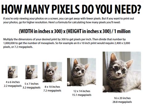 How Many Megapixels Do You Really Need Toms Guide Toms Guide