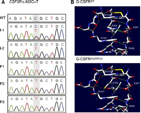 Inherited Biallelic Csf3r Mutations In Severe Congenital Neutropenia Abstract Europe Pmc