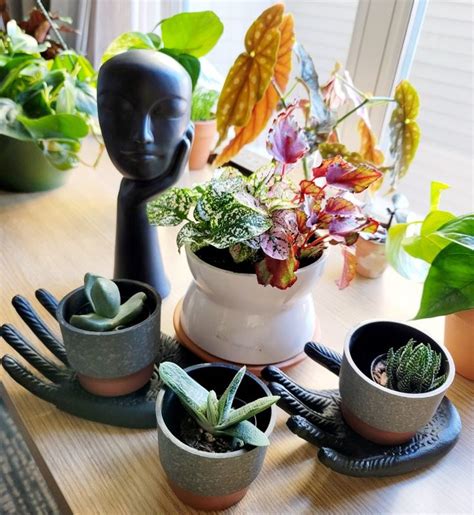 Pin By Carol Bonner On Plant Love Planter Pots Table Decorations Decor