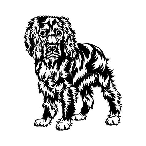 Cocker Spaniel Dog Breed Pet Vector Cut File Dog Silhouette Stencil