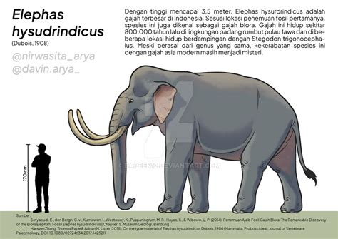 Elephas Hysudrindicus By Dapeen12 On Deviantart