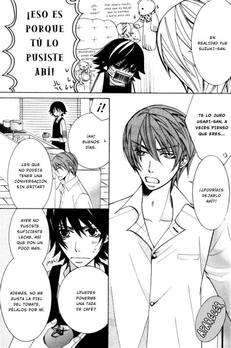 Palacio Yaoi Junjou Romantica Vol 12