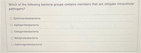 Solved Which Of The Following Bacteria Groups Contains