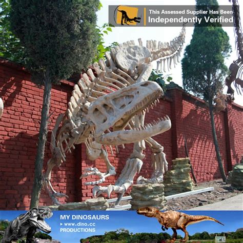 Museum Quality Yangchuanosaurus Skeleton Model For Sale Mydinosaurs