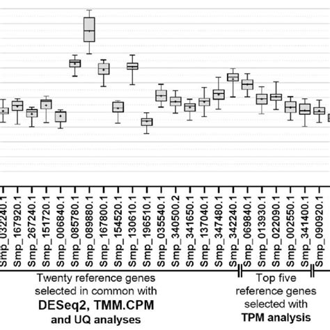 Gene Expression Analysis Performed By Rt Qpcr For All 33 Candidate