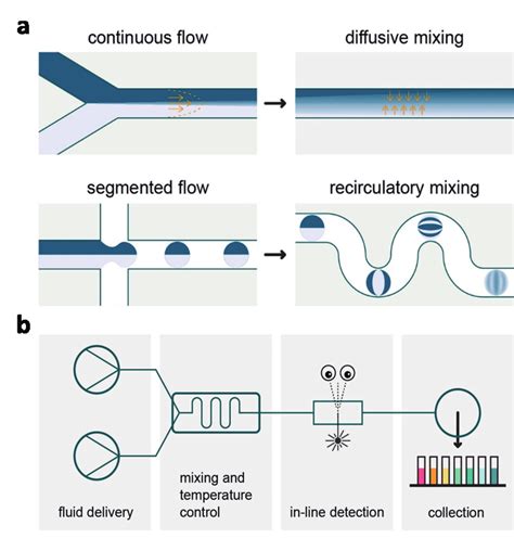 A Typical Flow Regimes In A Standard Microfluidic Flow Reactor