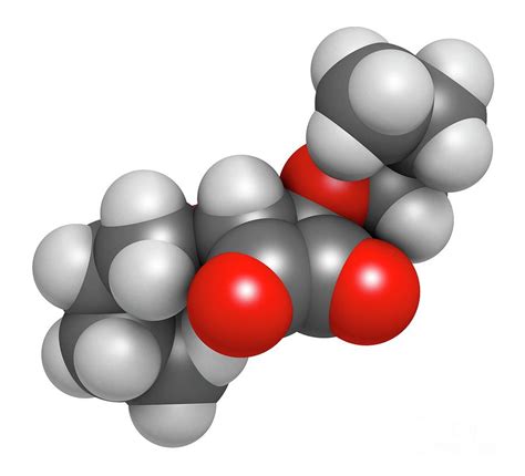 Squaric Acid Dibutyl Ester Drug Molecule 1 Photograph By Molekuul