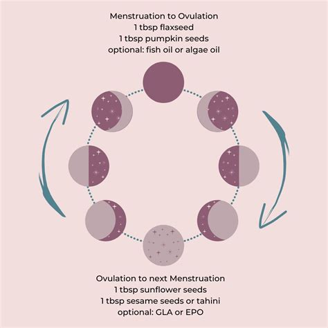 using seed cycling for better periods with cfs me anna marsh