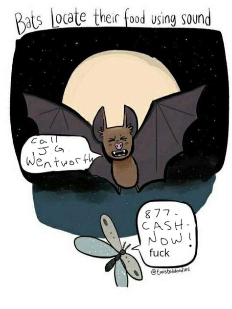 I Have A Structured Settlement But I Need Cash Now Rmemes