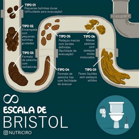 Escala De Bristol Os 7 Tipos De Fezes Bynsfk