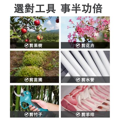 【台灣出貨】鋰電18v 充電電剪（修枝剪）防剪手機製 電動剪枝機 鋰電剪枝機 剪枝機 電剪 修枝剪 18v剪枝機 電剪 蝦皮購物