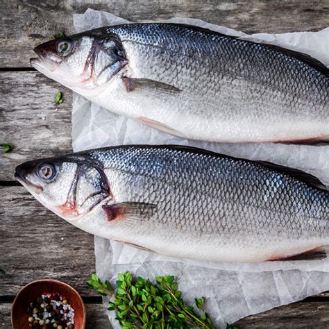 Zagriz Brancin Cel Porcijski Očiščen