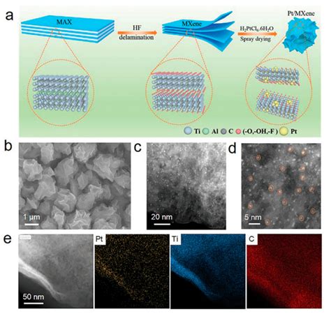 A Schematic Illustration For The Preparation Of Ptmxene B Sem