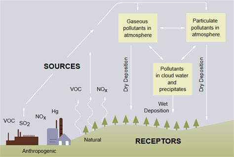 Acid Rain Causes Effects And Prevention