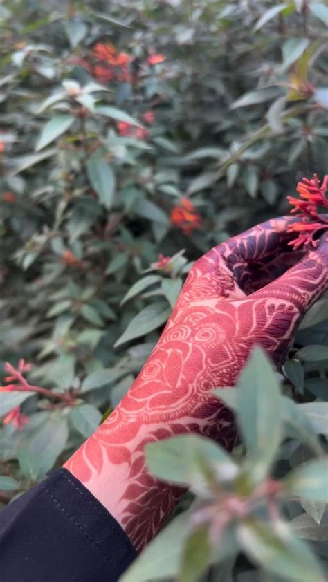 Call Me9892719873 For Any Inquires About Online Class Or Any Sider Or