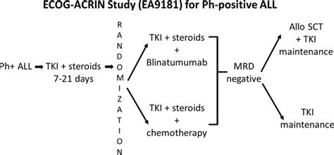 Ecog Acrin Ea9181 An Ongoing Prospective Phase Iii Trial For Newly