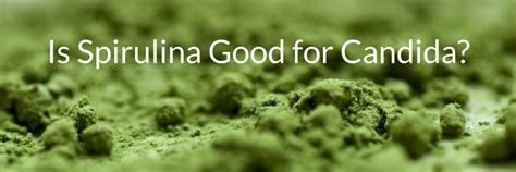 Is Spirulina Good For Candida Lets Beat Yeast Infections Together