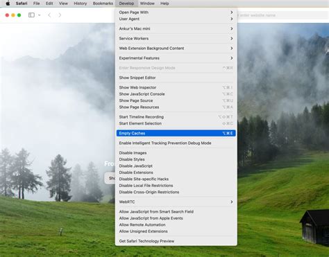 How to clear system, app, and browser cache on Mac