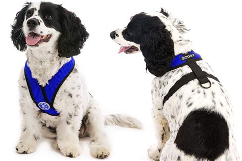 Gooby Pet Atelier Yuwaciaojp