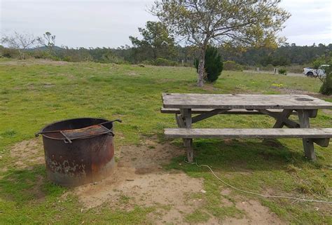 Washburn Primitive Campground — Hearst San Simeon State Park San