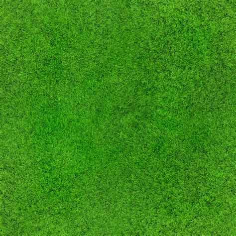 Seamless Grass Texture