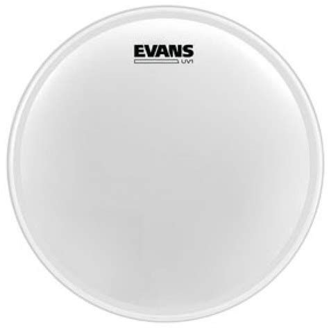 Evans 22 Emad Uv Batter Bass Drum Head Gold Coast Music
