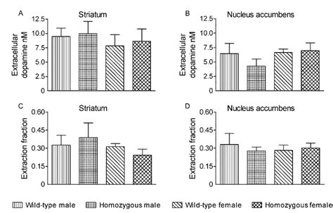The Effect Of Comt Gene Disruption On Extracellular Dopamine And The Download Scientific