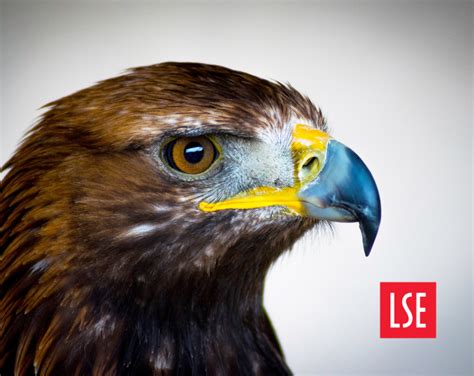 Just How Important Is The Problem Of Predatory Publishing