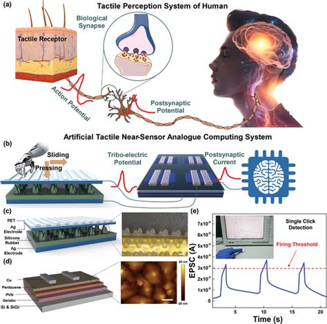 Atnsc Mimics The Human Tactile Perception System A Schematic Of The Download Scientific