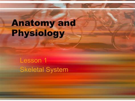 Functions Of Skeletal System Grade 4pptx Pptx