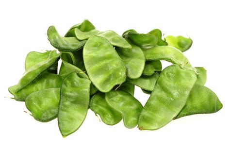 Imágenes De Bataw Descubre Bancos De Fotos Ilustraciones Vectores Y Vídeos De 1 631 Adobe Stock