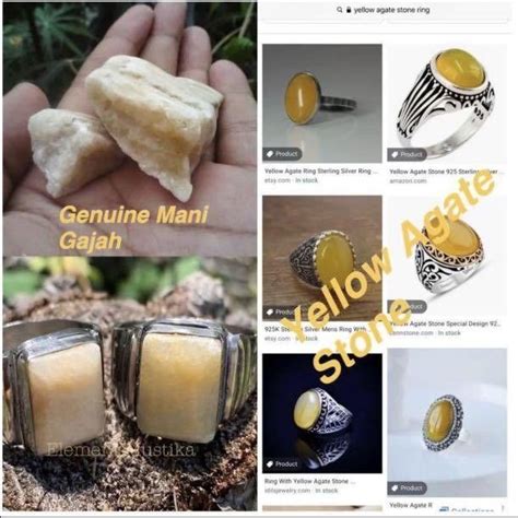 Sexual Attraction Mani Gajah Attraction And Magnetism Known For Sexual Attraction Charismatic