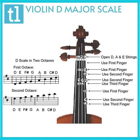 D Major Scale On Violin Master The Basics In Minutes Teds List