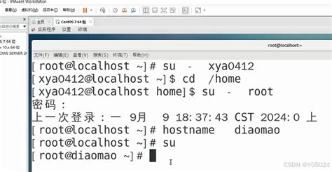 Linux的基本命令 Csdn博客