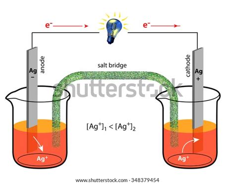 Galvanic Concentration Cell Ag Solutions Stock Illustration 348379454